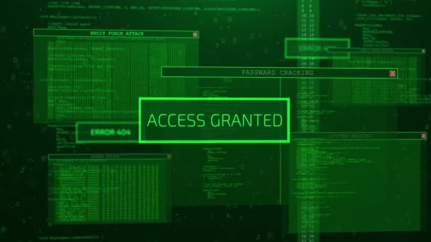 Access Granted Hacker Typer