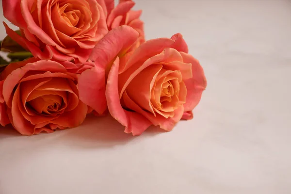 Rose gold roses Stock Photos, Royalty Free Rose gold roses Images ...