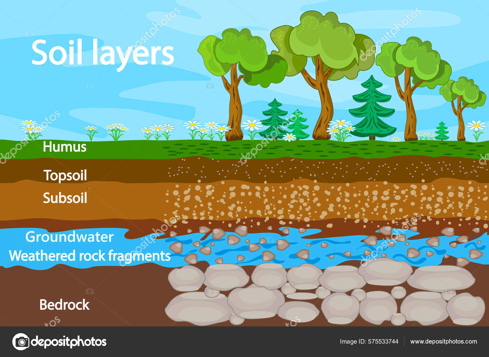 Capas Suelo Diagrama Capa Suelo Esquema Capa Suelo Con Hierba vector ...