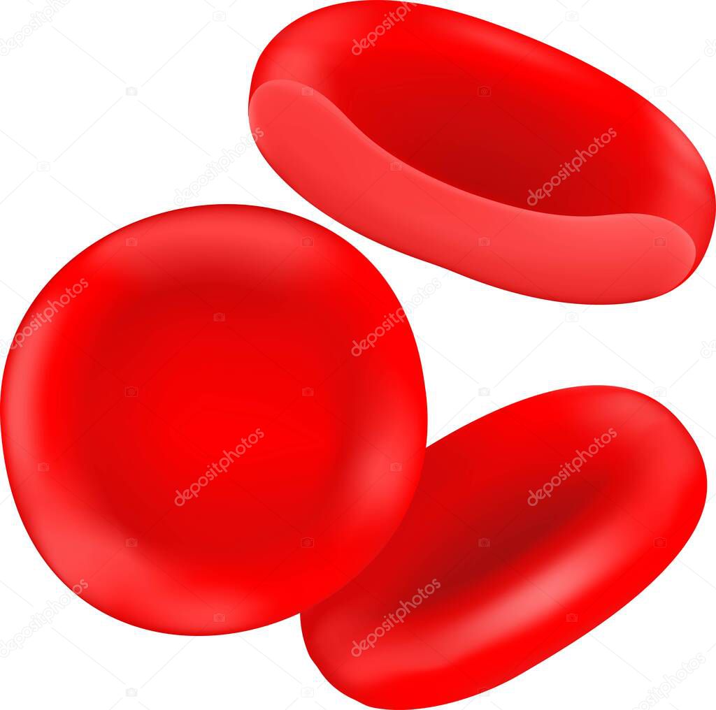 glóbulos rojos está en el cuerpo humano. 2022