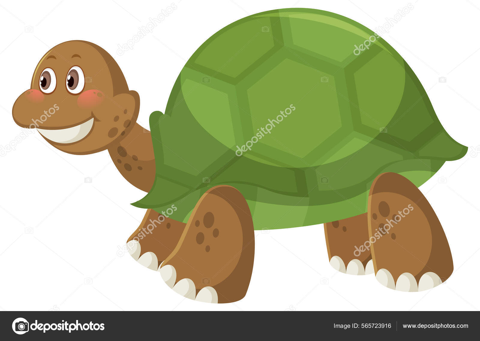 Cute Simple Turtle Cartoon White Background Illustration Stock Vector ...