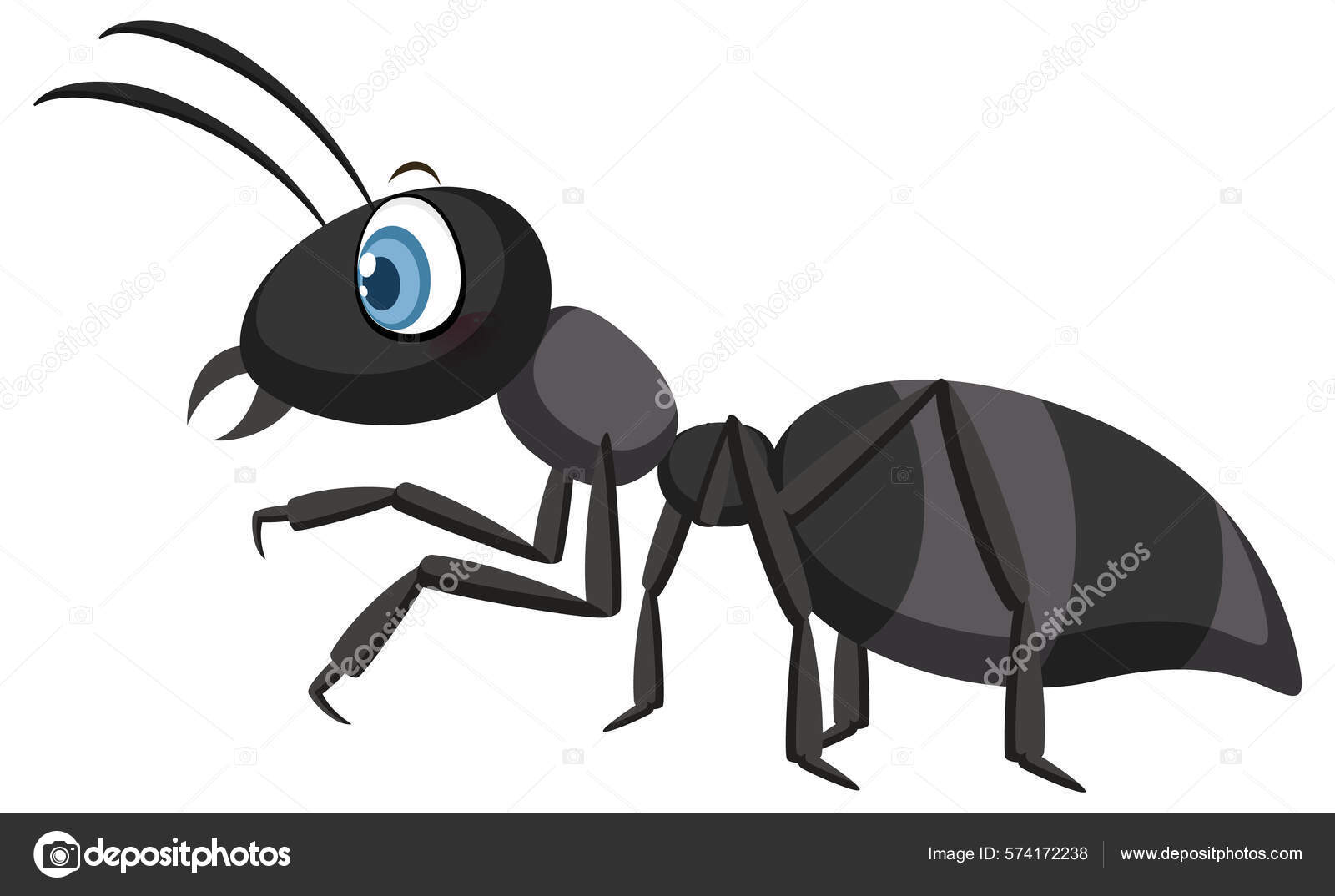 Black Ant Isolated White Background Illustration Stock Vector by ©brgfx ...