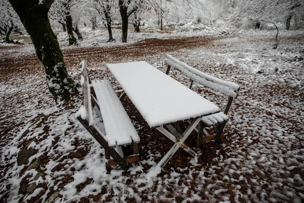 Snowy table Stock Photos, Royalty Free Snowy table Images | Depositphotos