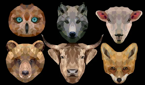 7,978,873 Conjunto de fauna Vector Images | Depositphotos