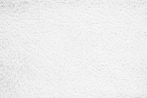 White alligator texture Stock Photos, Royalty Free White alligator ...